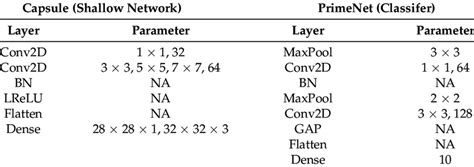 Capsule And Classifier Model Configuration Information Download