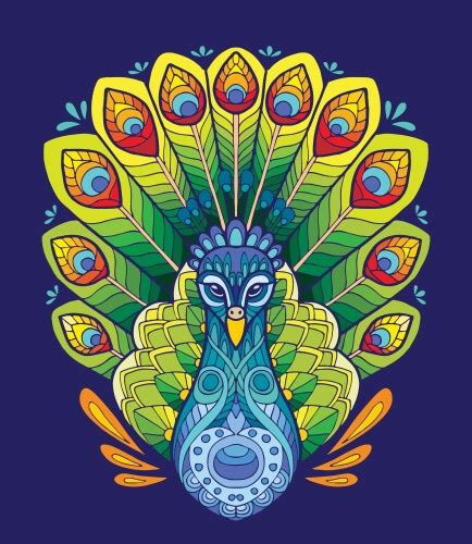 Peacock Drawing Outline Vector Images Over 830