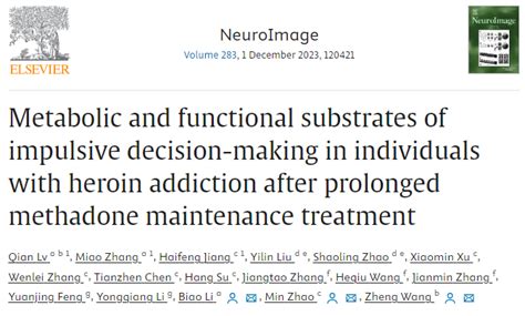 Dr Zheng Wang Metabolic And Functional Substrates Of Impulsive Decision Making In Individuals