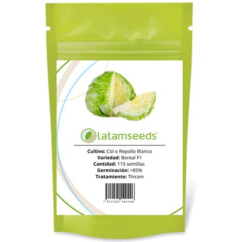 Repollo O Col Blanco Boreal F1 Latamseeds