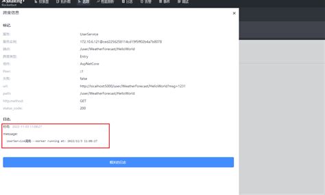 日志无法写入 Issue SkyAPM SkyAPM dotnet GitHub