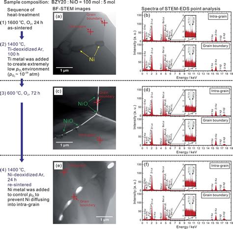 Bf Stem Images And Spectra Of Stem Eds Point Analysis Of The Download Scientific Diagram