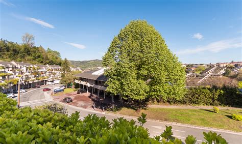 Vivienda Escalonada En Paseo Bera Bera Aiete Donostia San Sebastián