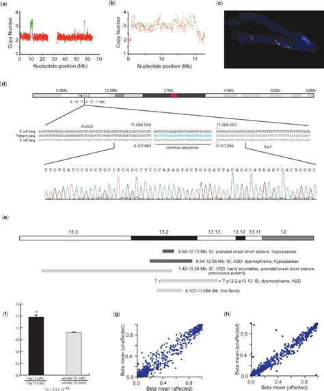 Affymetrix 60 Snp Array Copy Number Estimations For The Whole Of Download Scientific Diagram
