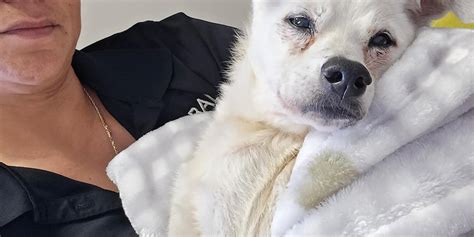 Lawmaker Calls For Upgraded Criminal Charges For Owner Accused Of