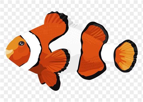 Clownfish Png Illustration Sticker