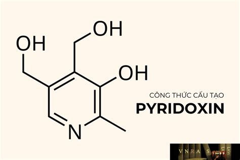 Thông Tin Về Pyridoxin Hydroclorid điều Trị Viêm Dây Thần Kinh