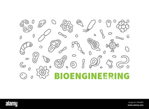 Bioengineering Vector Science Concept Outline Horizontal Banner Bio