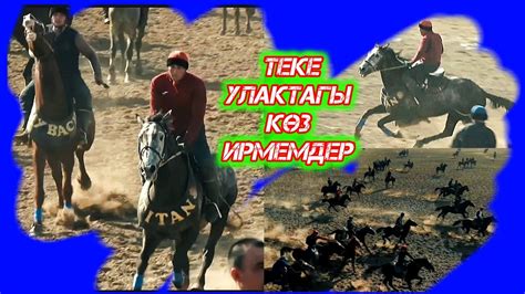 Манас Ниязовтун теке улактагы салымдары Титан жана Карышкыр менен 👆💥💥💥