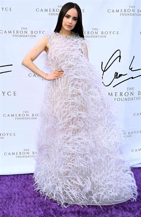 Best Celebrity Red Carpet Style Photos Updated Daily