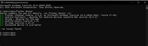 Dart Flutter Web Doesnt Show Something After Upgrade To Version 2