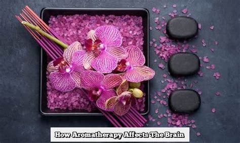 How Aromatherapy Affects The Brain Deep Aromatherapy
