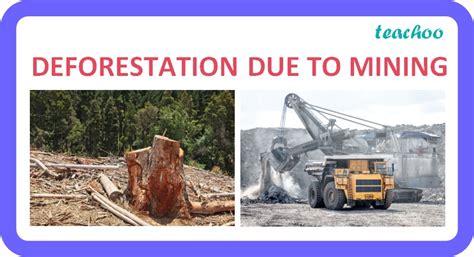 [mcq] Deforestation Due To Mining Has Caused Severe Land Degradation