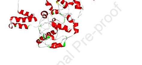 The Tertiary Structure Of The Wnv Vaccine Predicted By Galaxyweb Server