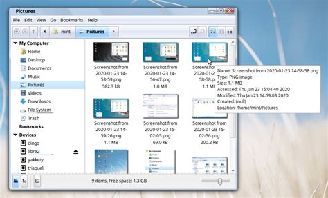 Linux Mint With Windows 7 Theme