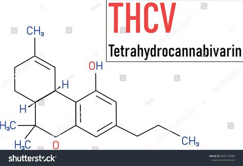 Thcv Molecular Formula Tetrahydrocannabivarin Molecule Structure Stock