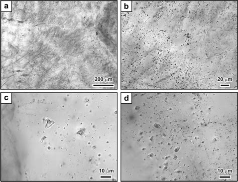 Fluid Inclusion Characteristics Of Extensional Vein Quartz A Wispy