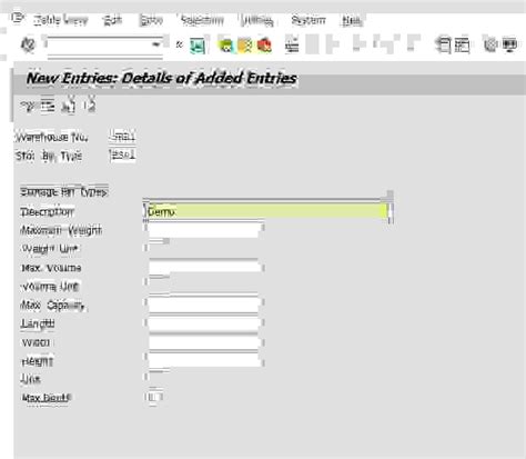 Define Storage Bin Types In SAP
