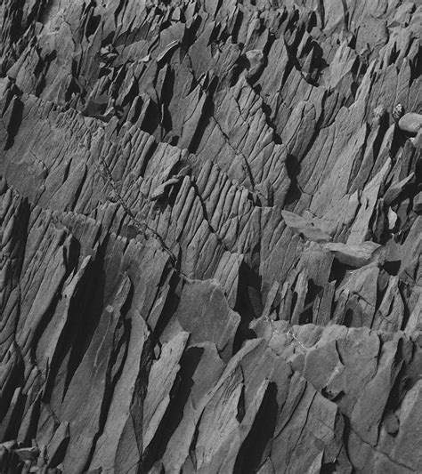 Nova Pro One — Grass