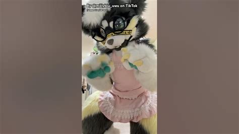 Making Biscuits 0 By Millyblu Uwu Furry Furries Fursuit Tiktok Fyp Shorts Fursona