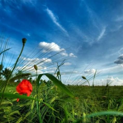 Stream Antisec Free Background 😪free Download By Acesso À Educação Listen Online For Free On