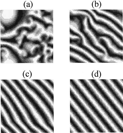 Temporal Evolution Of The Transverse Field Distribution Ree For The