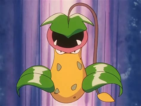 Why Do You Love Your Favourite Pokémon Fandom