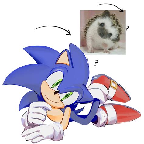 Sonic Laying
