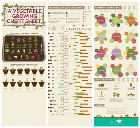 Vegetable Garden Planning Vegetable Garden Design Veggie Garden