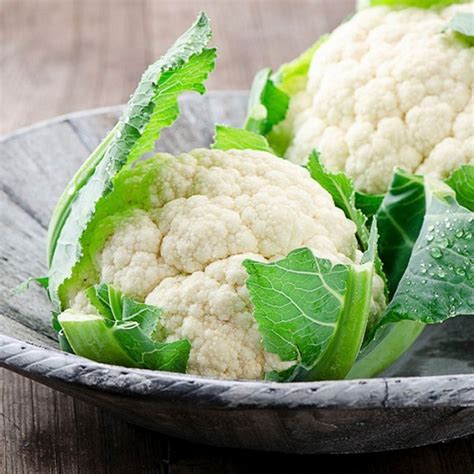 白合花菜详细介绍：特点 历史 云梦特产 特色谷