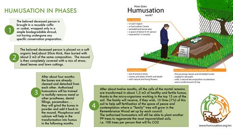Humusation Natural Composting Process Of The Human Body Humusation