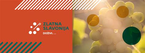 𝐏𝐎𝐒𝐉𝐄𝐓 𝐒𝐏𝐄𝐋𝐄𝐎𝐋𝐎Š𝐊𝐈𝐌 𝐎𝐁𝐉𝐄𝐊𝐓𝐈𝐌𝐀 Š𝐏𝐈𝐋𝐉𝐀 𝐀𝐃𝐈𝐎𝐒 🧗 Djelatnici Javne Ustanove Baraćeve špilje🦇