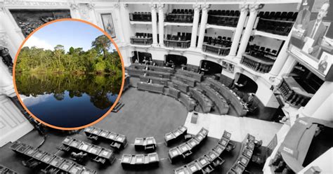 Proponen Al Congreso Reconsiderar Cambios A La Ley Forestal Para Frenar