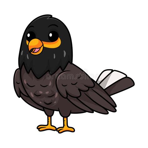 Maina Bird Clipart Cartoon