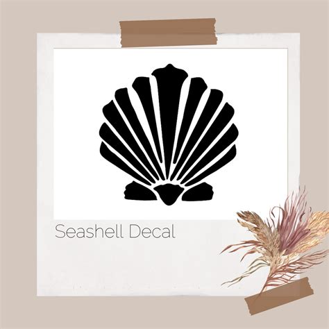 Seashell Decal Shell Car Decal Beach Decal Summer Decal Etsy
