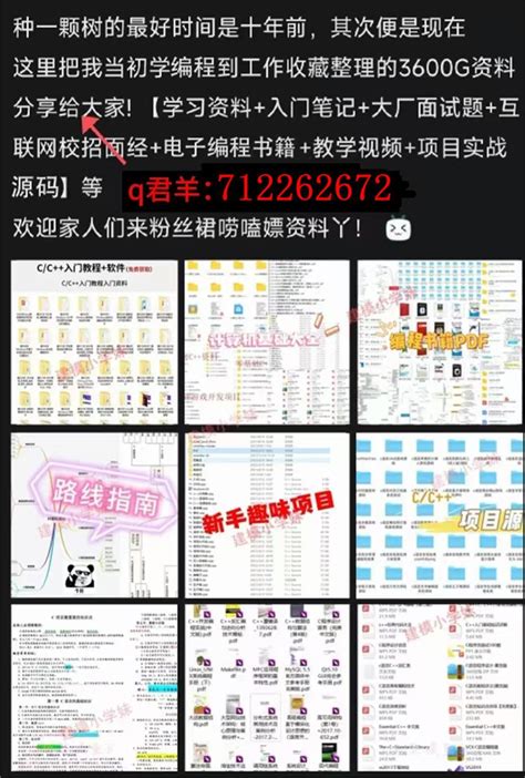 【全300集】清华大佬终于把c语言全套教程讲完了！2025最新版，从零基础小白到 哔哩哔哩