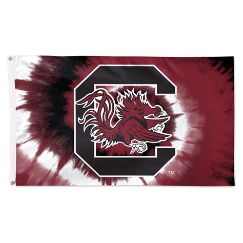 South Carolina Gamecocks Team Gear Best Buy