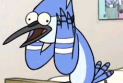 Mordecai Regular Show Pfp