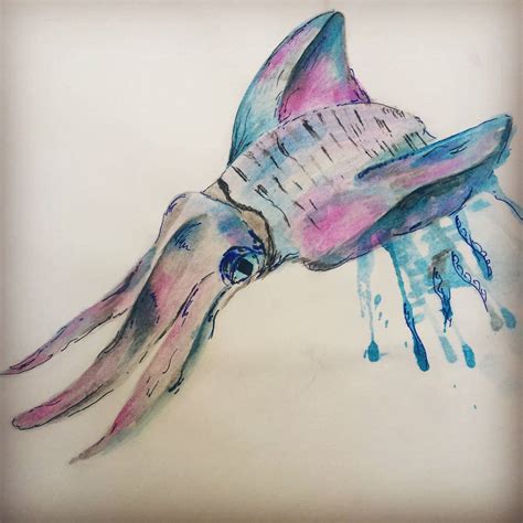 Big Fin Reef Squid By Ladybluehawke On Deviantart