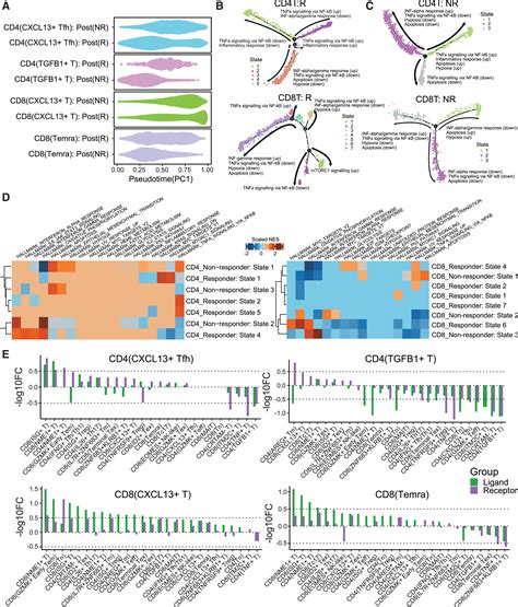 Deciphering Immune Predictors Of Immunotherapy Response A Multiomics