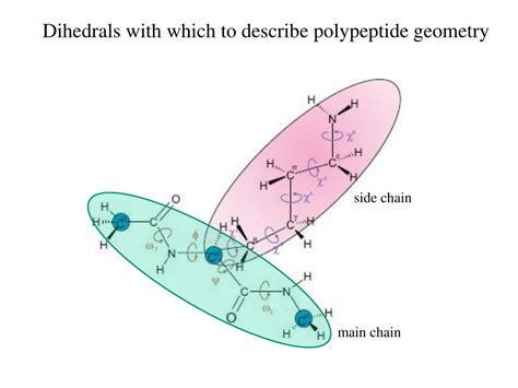 Ppt Local Geometry Of Polypeptide Chains Elements Of Secondary