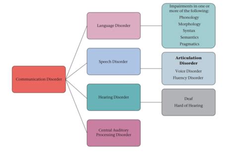 Articulation Disorders Quiz 1 Flashcards Quizlet