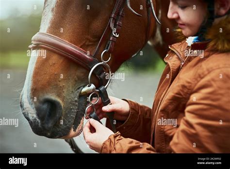 Theres Never A Good Reason Not To Ride Shot Of A Teenage Girl Preparing To Ride Her Pony On A
