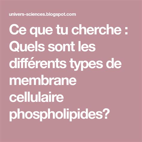 Ce Que Tu Cherche Quels Sont Les Différents Types De Membrane