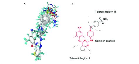 The Molecular Alignment Using Compound 36 As A Template A The