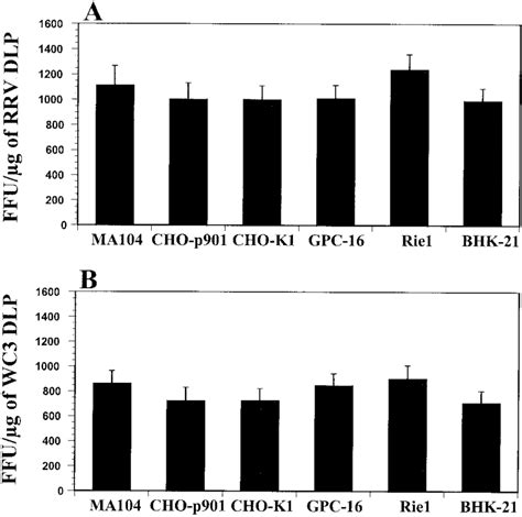 Liposome Mediated Infection Of Cells By Sa Dependent Rrv Strain A Or