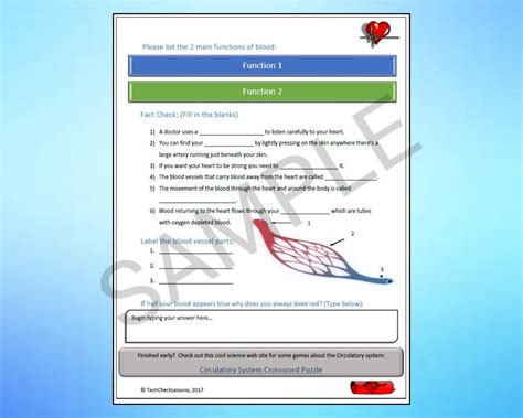 Circulatory System Science Webquest Internet Activity Editable