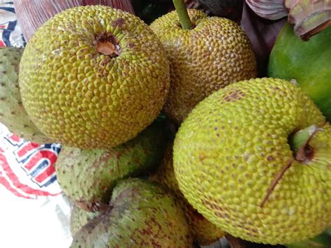 The Kolo Or Breadfruit In All Her Cebu Farmers Market