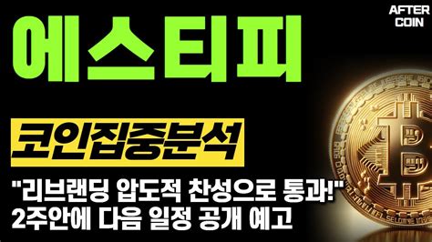 에스티피 코인 리브랜딩 압도적 찬성으로 통과 2주안에 다음 일정 공개 예고 에스티피코인대응 에스티피코인전망 에스티