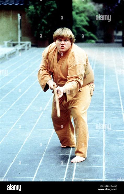 Beverly Hills Ninja Haru Beverly Hills Ninja Dvd 1997 For Sale